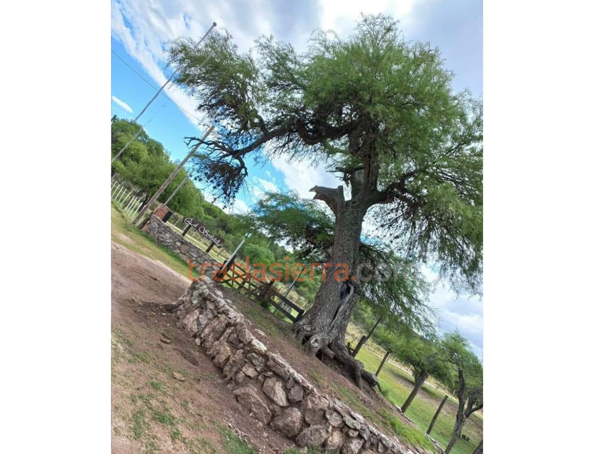 La Soñada de Karrupachina Cabaña - Nono